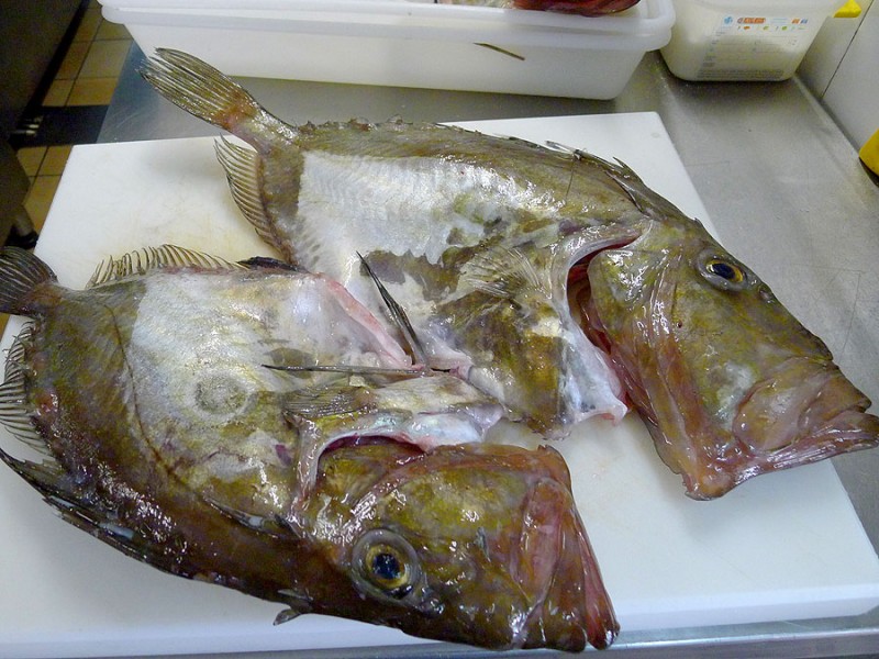 Gallo de San Pedro, un pescado exquisito y mitológico - Restaurante Es ...